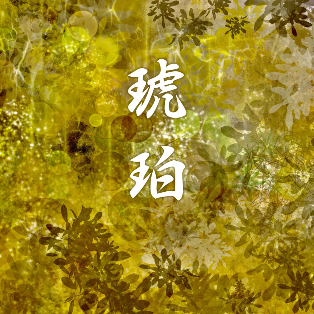 会社概要 | Kyoto